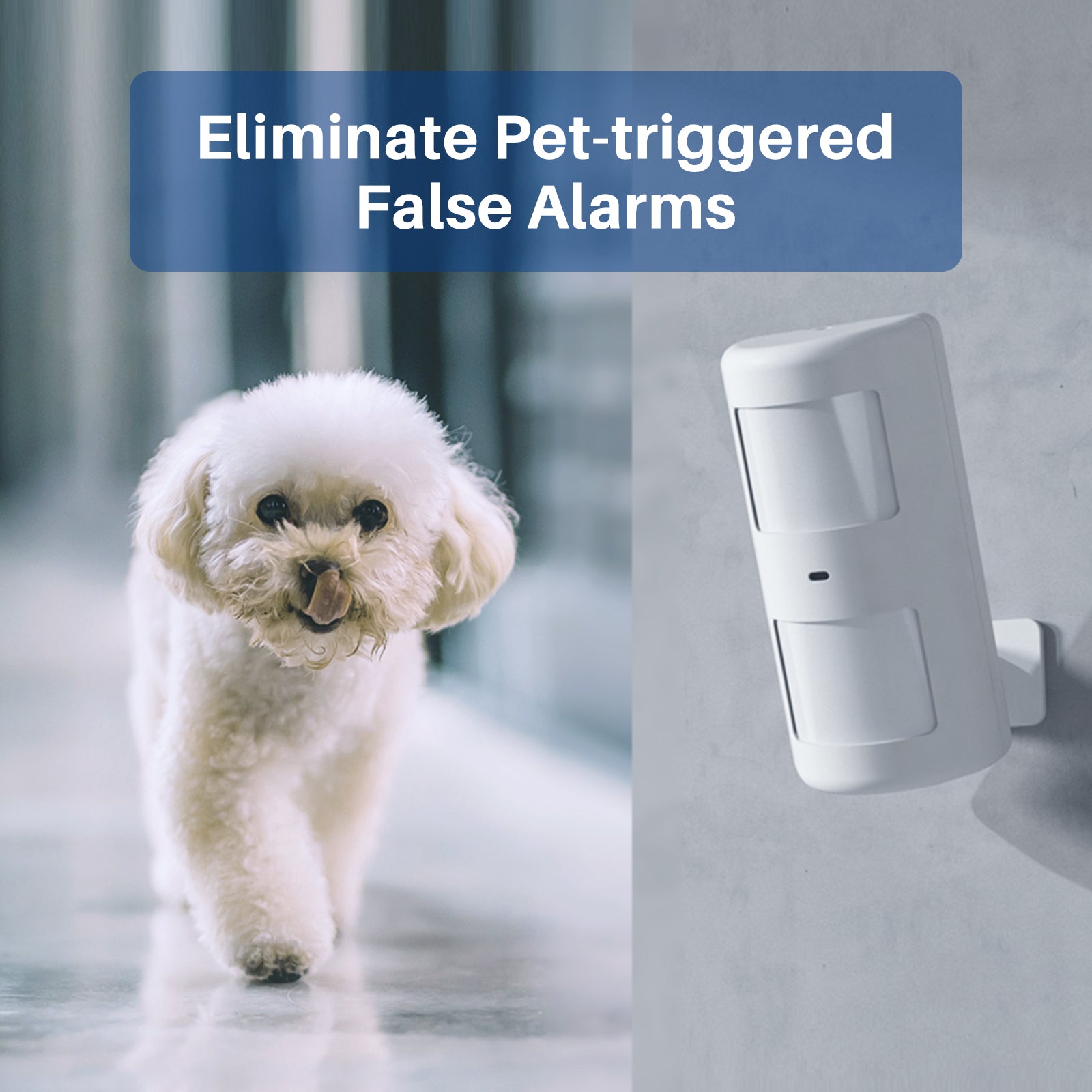 LTE-400: Das ist Dein perfekter Start in die Smart Home Security ...